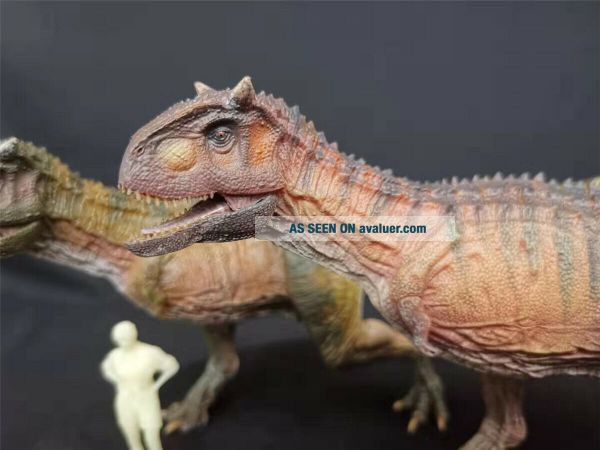 Nanmu 1/35 Carnotaurus Figure Carno Statue Dinosaur Model Collector Toy ...