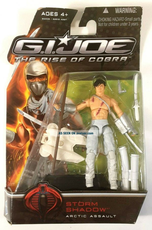 GI Joe The Rise Of Cobra Storm Shadow Arctic Assault Unmasked Variant ...