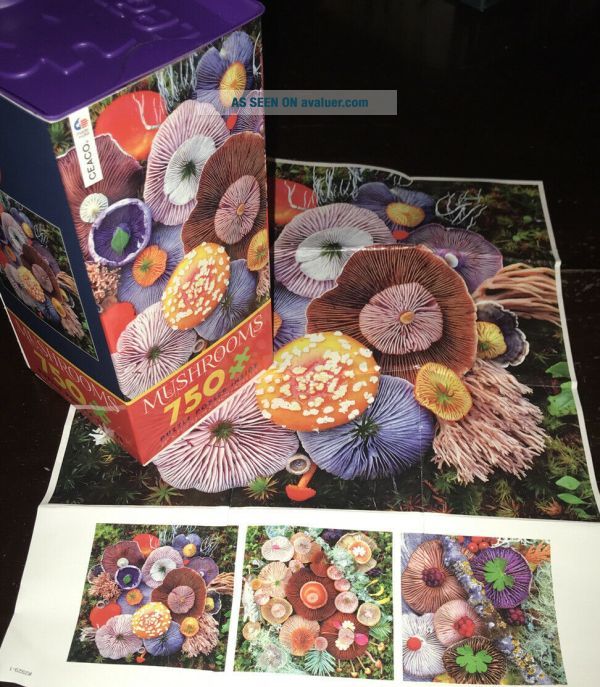 CEACO Mushrooms Jigsaw Puzzle 750 Piece Poster Garden Colorful | #32603336