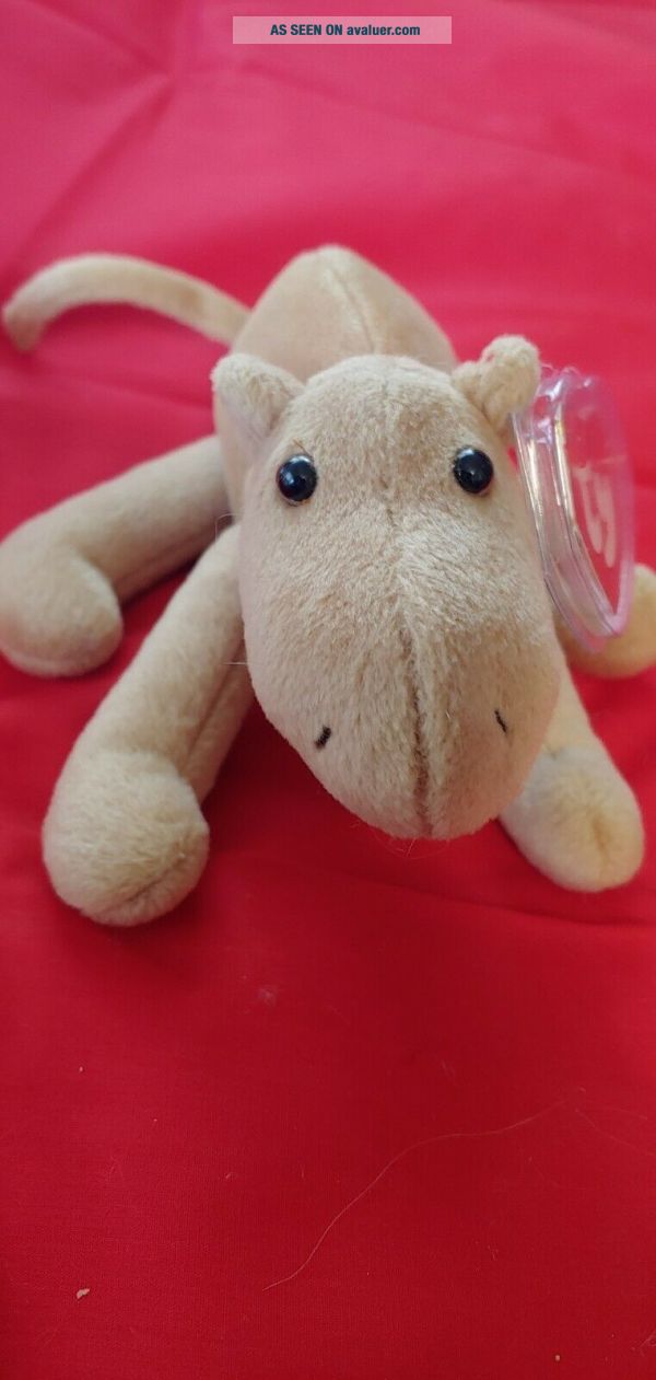 Humphrey The Camel Ty Beanie Baby Retired 1993 | #32738299