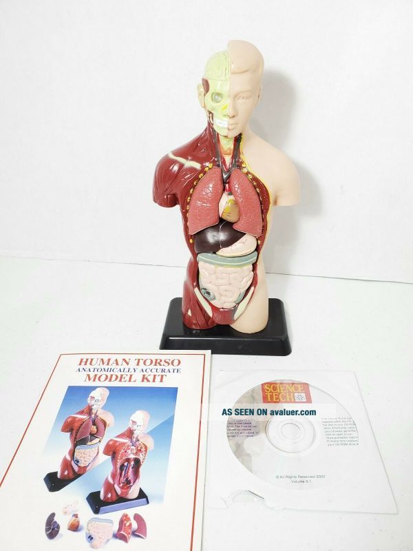 Human Body Learning EDU Science Anatomy 10 In. Model Kit W/ CD Rom ...
