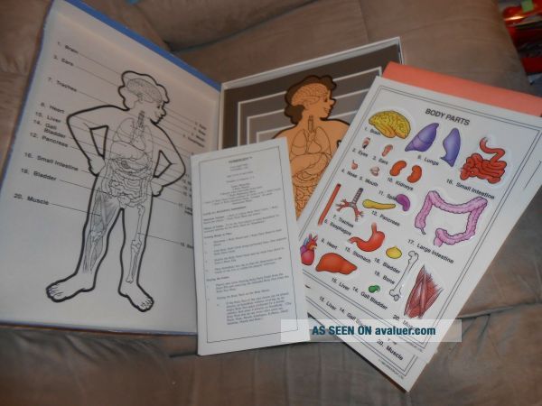 SomeBody The Human Anatomy Game By Aristoplay Learning Educational ...