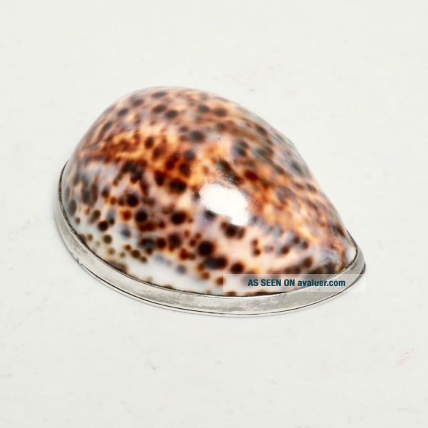 VINTAGE TIFFANY & CO. STERLING SILVER COWRIE SHELL SNUFF BOX | #44463750