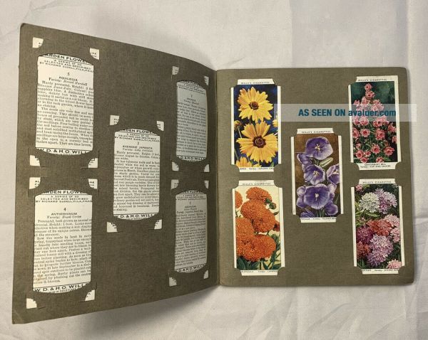 Vintage Wills Cigarette Cards Garden Flowers GB Complete | #44823745