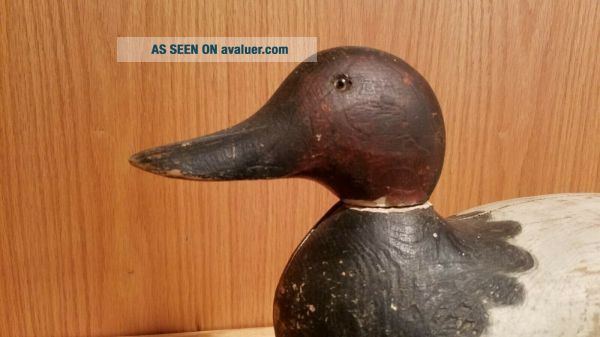 Mason Hays Glass Eye Drake Canvasback Wood Duck Decoy | #46099123