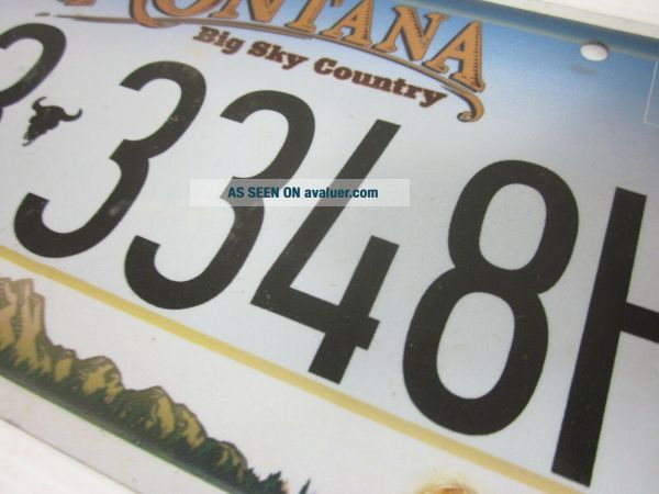 MONTANA FLAT Licence/number Plate US/United States/USA/American 133348H ...