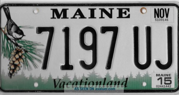 2015 MAINE CHICKADEE BIRD LICENSE PLATE 7197 UJ | #46298923