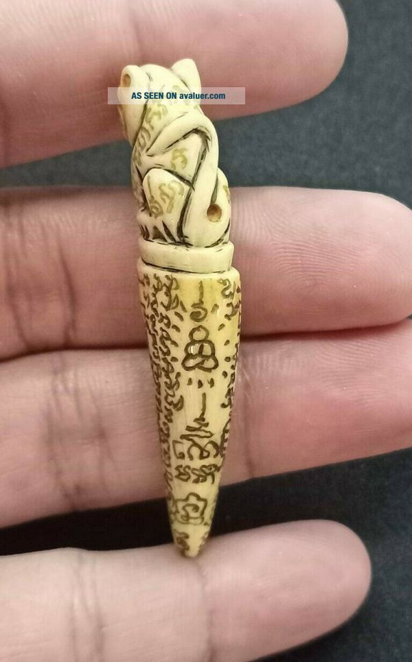 Real Wild BOAR Pig Tooth TIGER Carved Thai Amulet Power Tattoo Luck ...