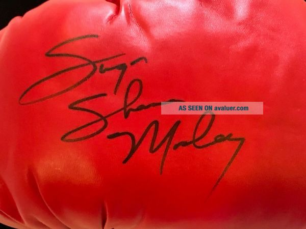 SUGAR SHANE MOSLEY SIGNED EVERLAST BOXING GLOVE PSA DNA AUTHENTICATED ...