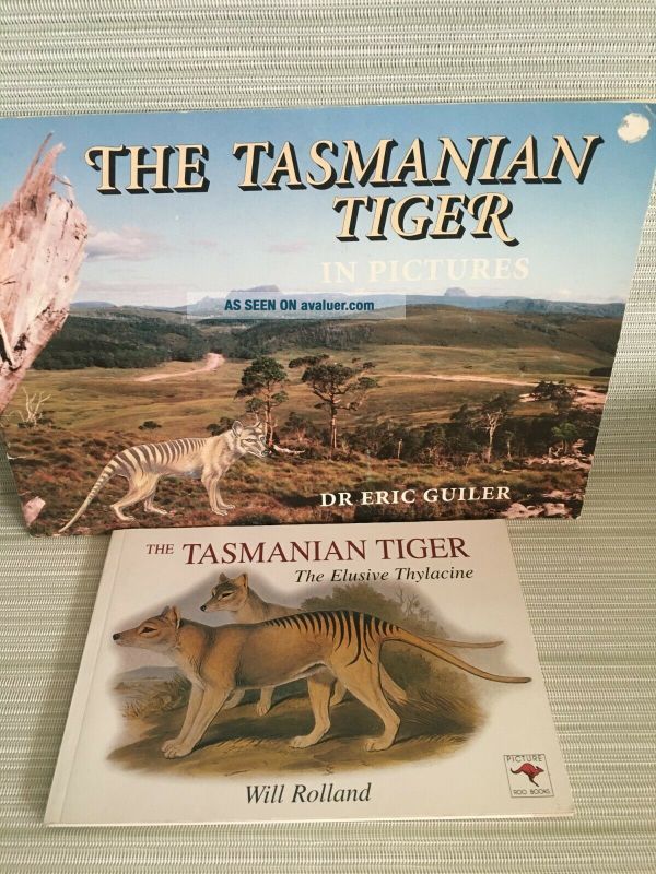 2 X The Tasmanian Tiger In Pictures E Guiler AND The Elusive Thylacine ...
