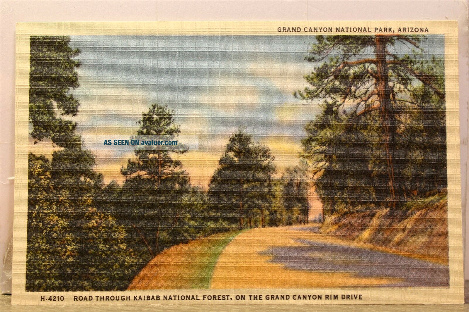 Arizona AZ Grand Canyon National Park Rim Drive Kaibab Forest Road ...