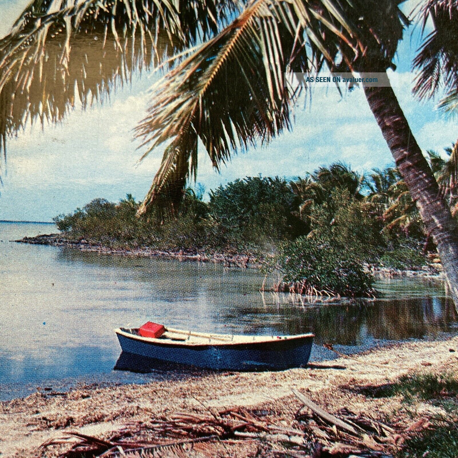 Postcard FL Key West Typical Scene On The Florida Keys Canoe And Palm ...