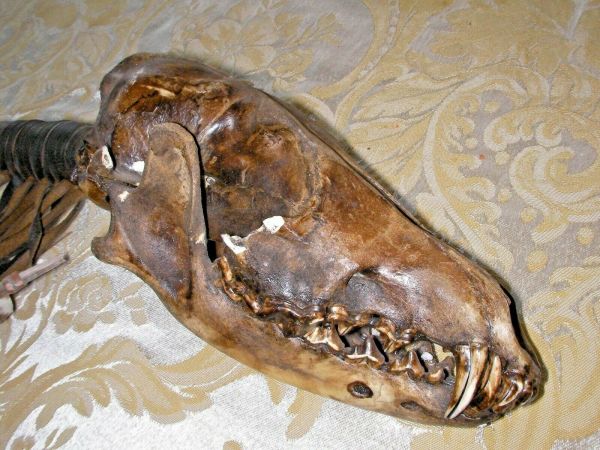 Native American Indian Antique Artifact Ceremonial Spirit Stick Coyote ...