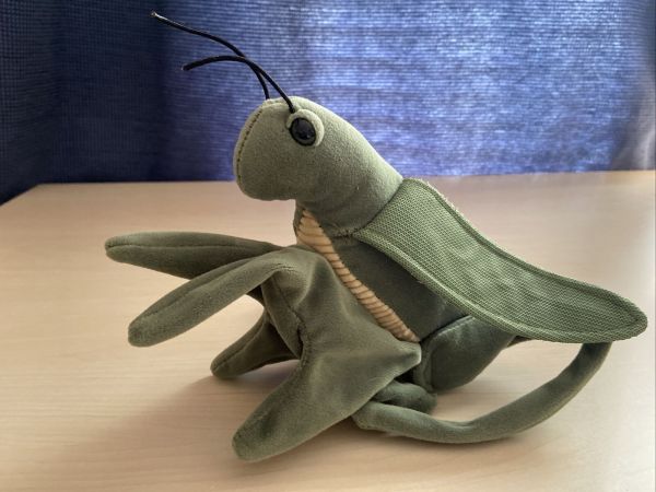Folktails By Folkmanis GRASSHOPPER 12 " Hand Puppet Plush Stuffed Toy ...
