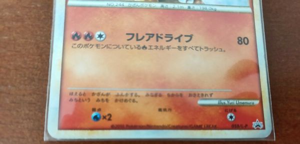 Entei HGSS Promo 20 059/L - P Holo Excellent Japanese Pokemon Card ...
