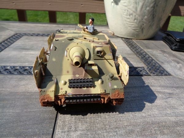 GERMAN Brumbar TANK Self Prop. Gun” Professionally BUILT Painted 1/35 1 ...